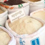 Ris – og forskellen på ris – alt om de forskellige ristyper